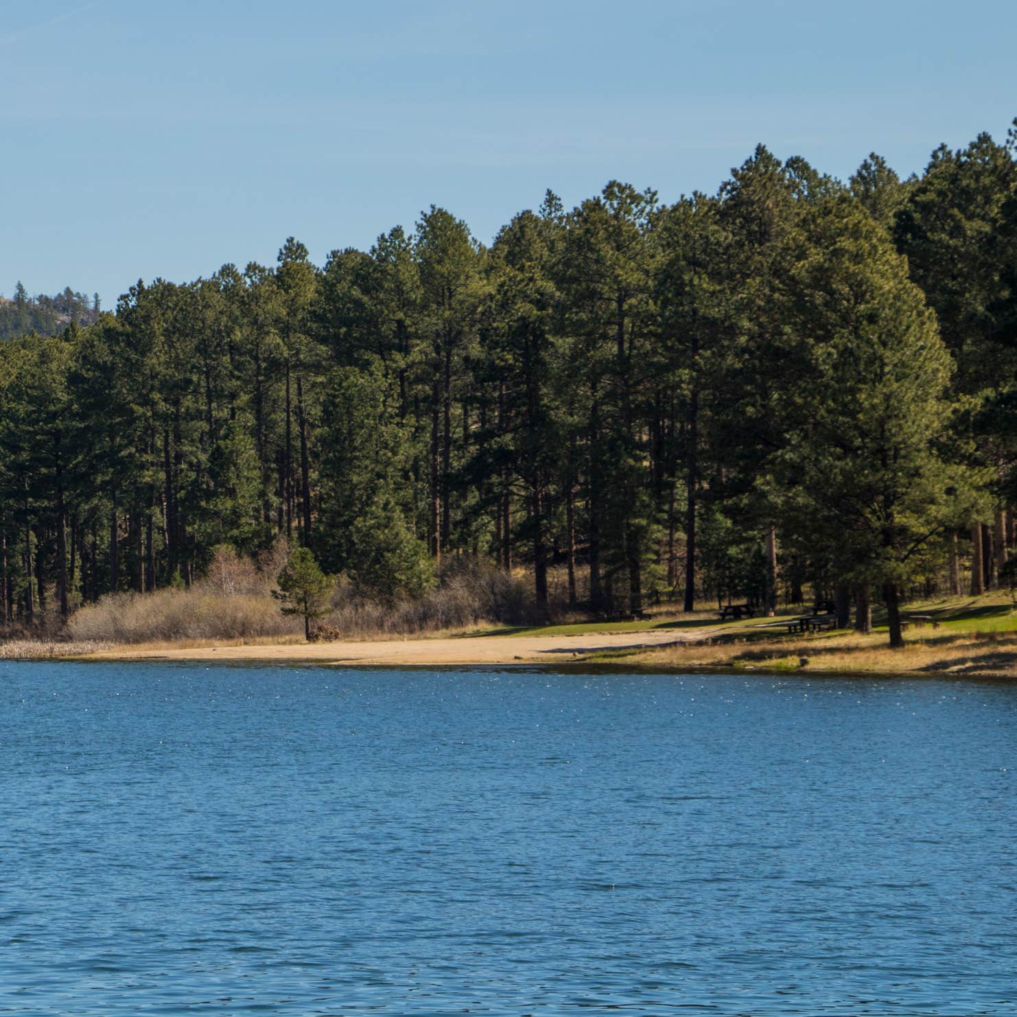 Sheridan Lake South Shore Campground Camping | The Dyrt