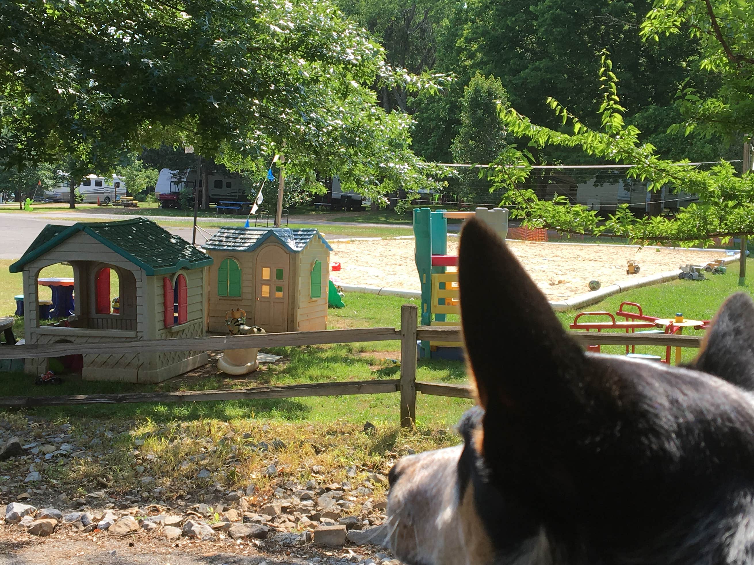 Shellmound RV Resort & Campground | The Dyrt