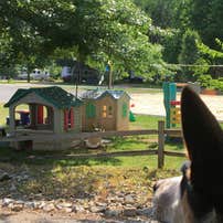 Shellmound RV Resort & Campground | Jasper, Tennessee