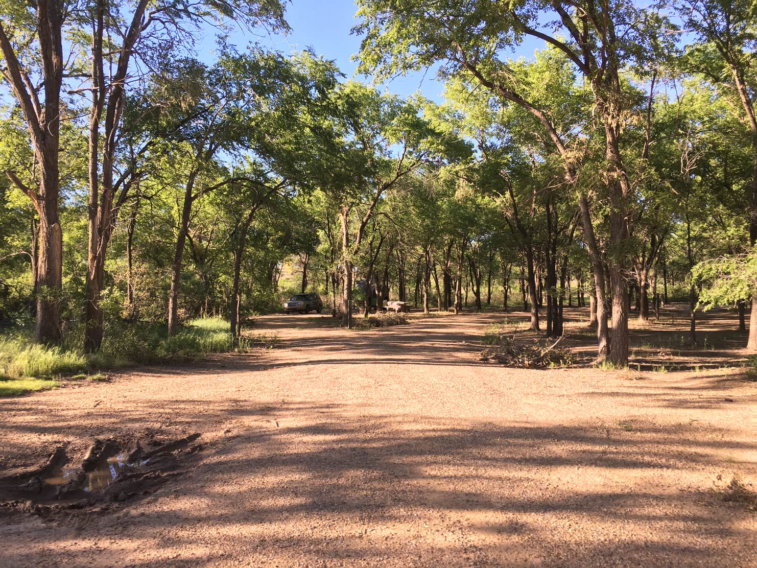 Lake McClellan Campground | The Dyrt