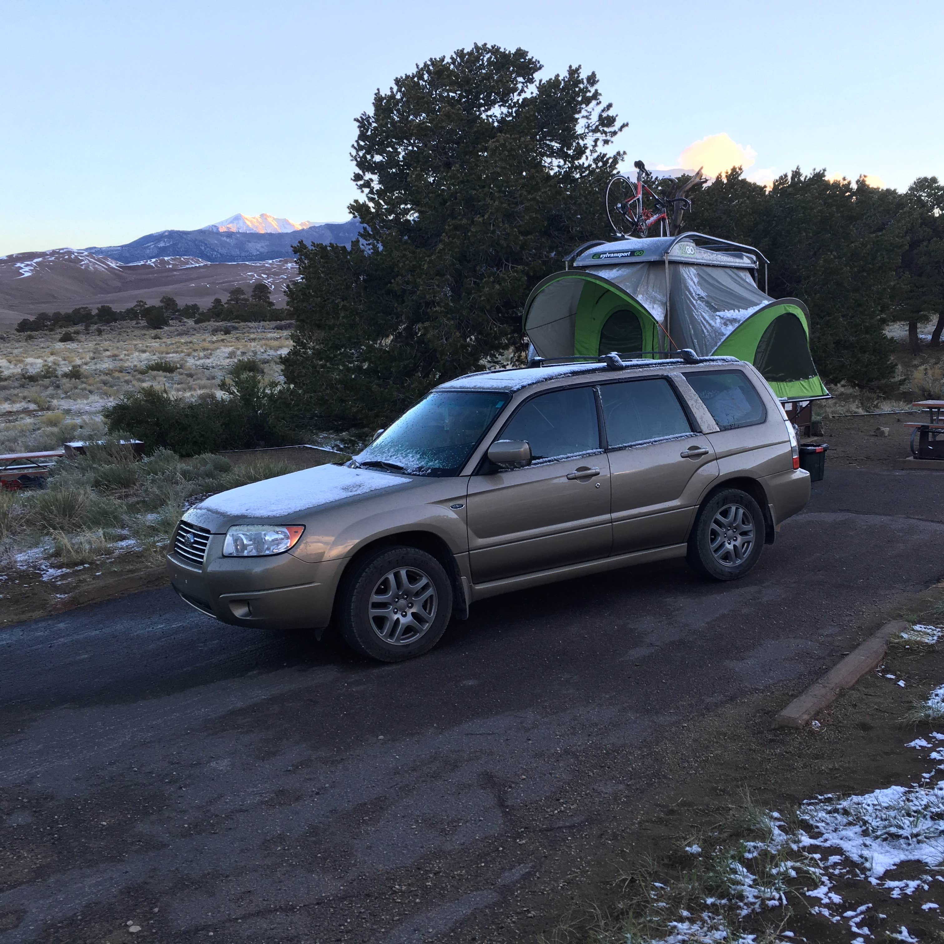 Pinon Flats Campground Camping | The Dyrt