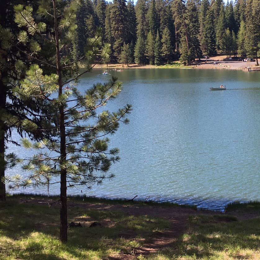 Walton Lake Camping | The Dyrt