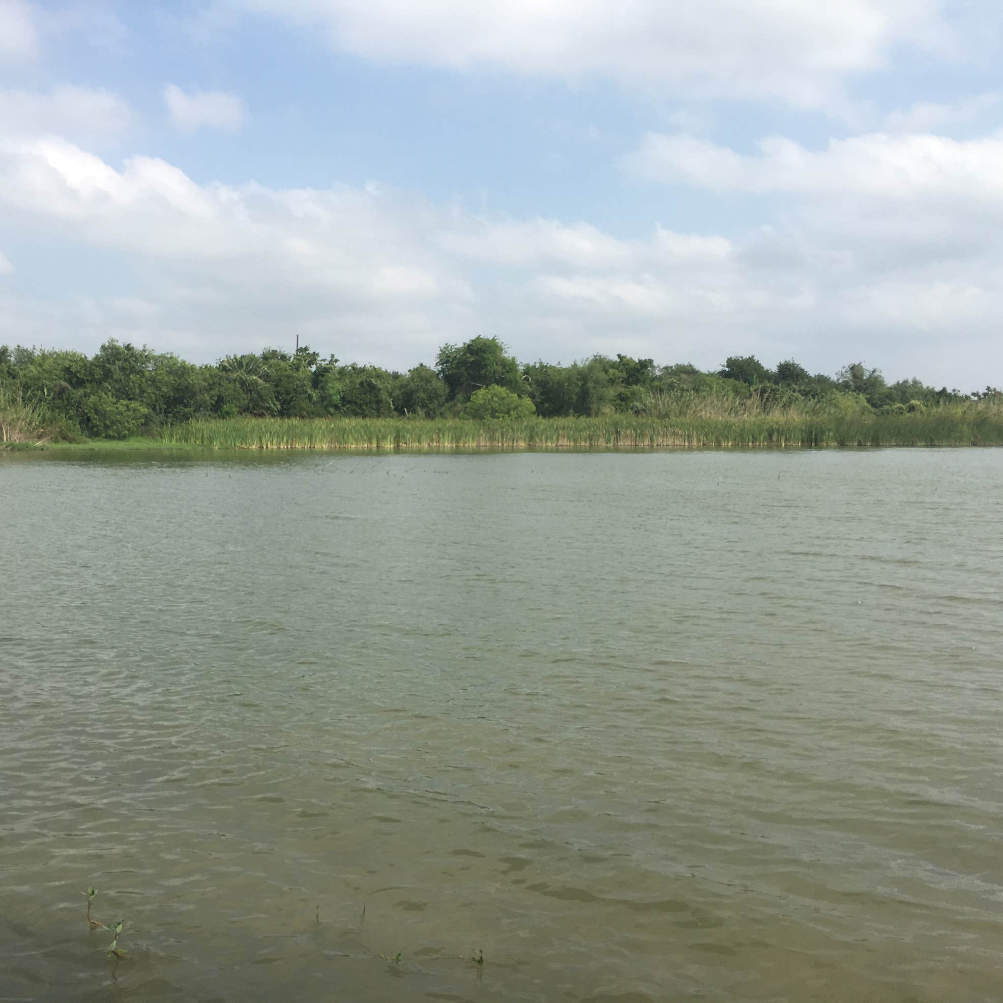 Lake Corpus Christi State Park Camping | The Dyrt