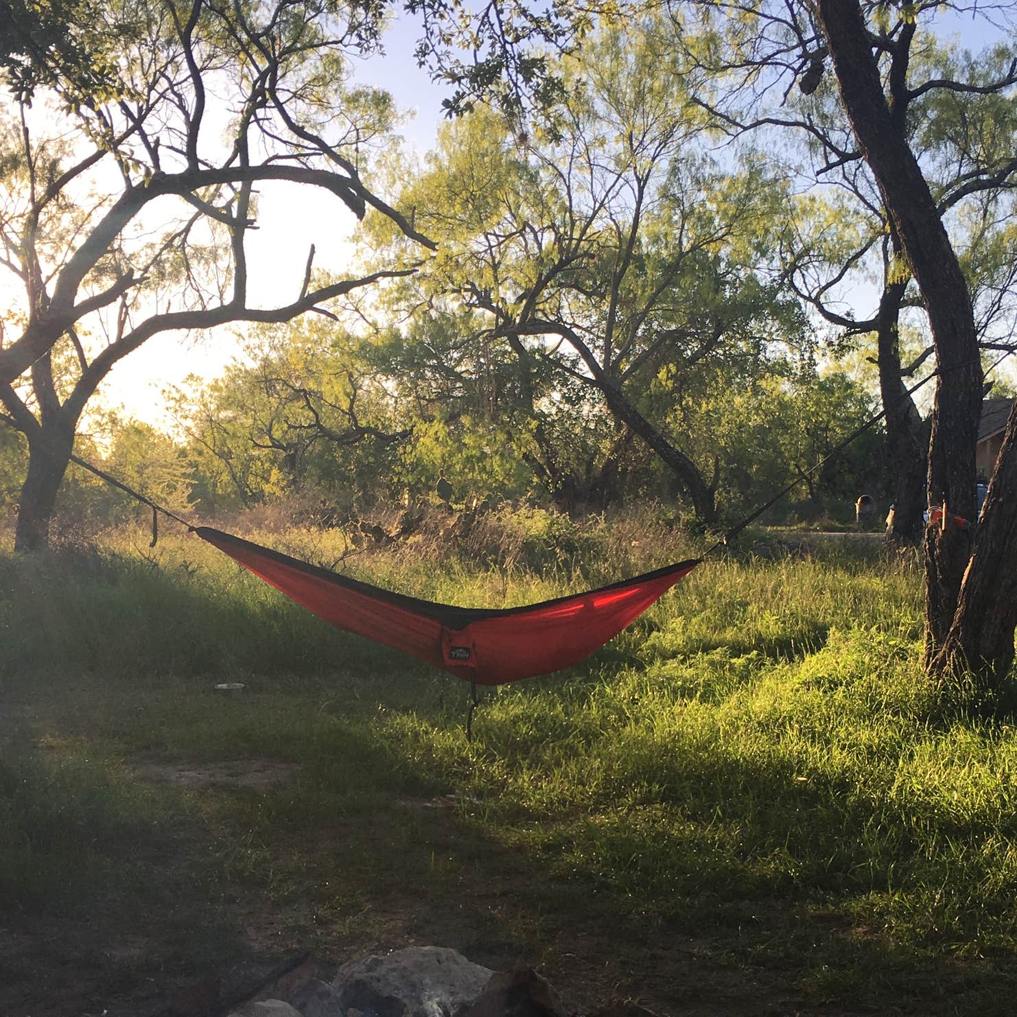 Pace Bend Park - Lake Travis Camping | Lago Vista, TX | The Dyrt