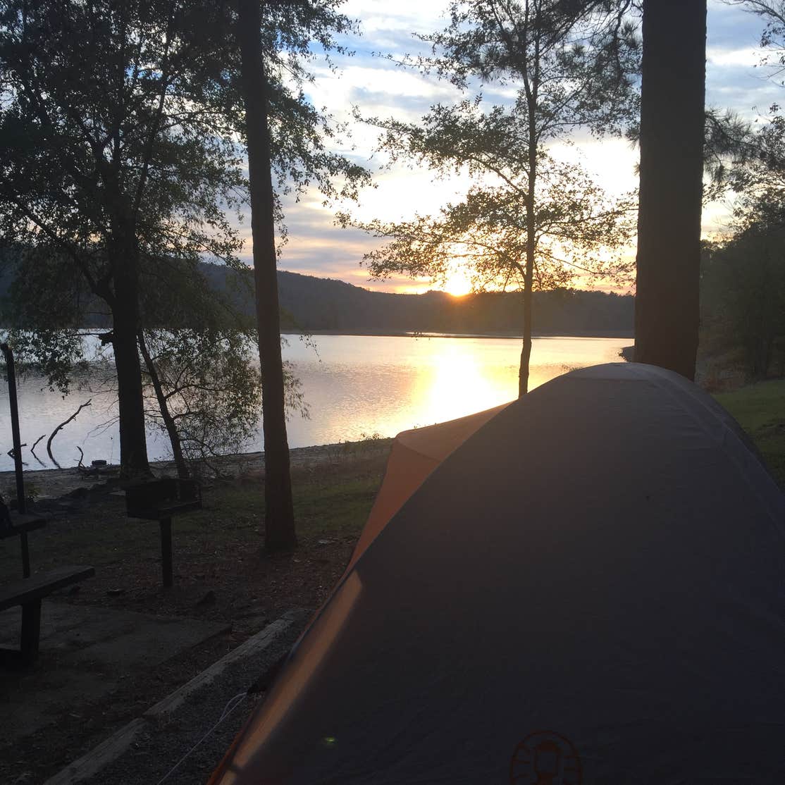 Daisy State Park Camping | The Dyrt