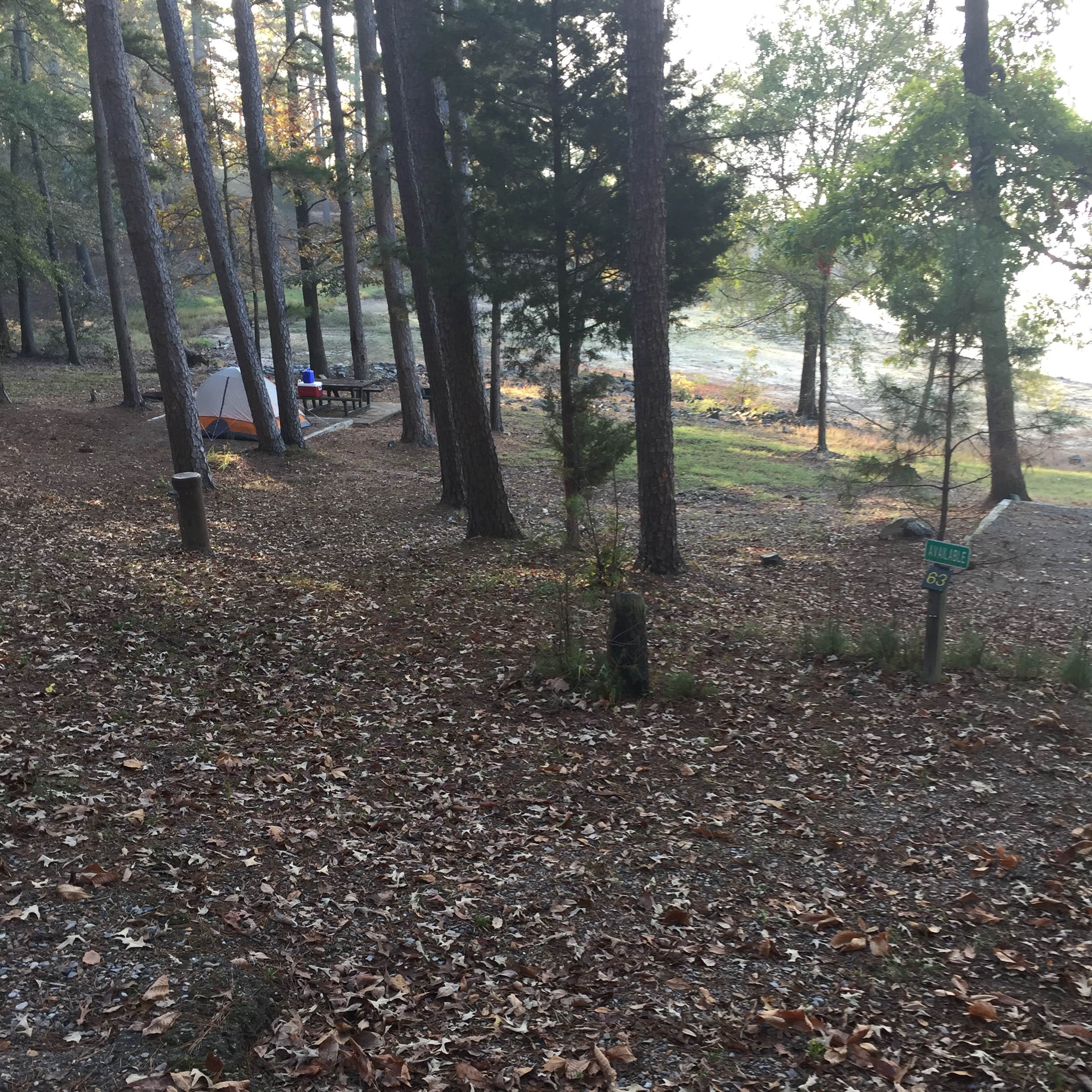 Daisy State Park Camping | The Dyrt