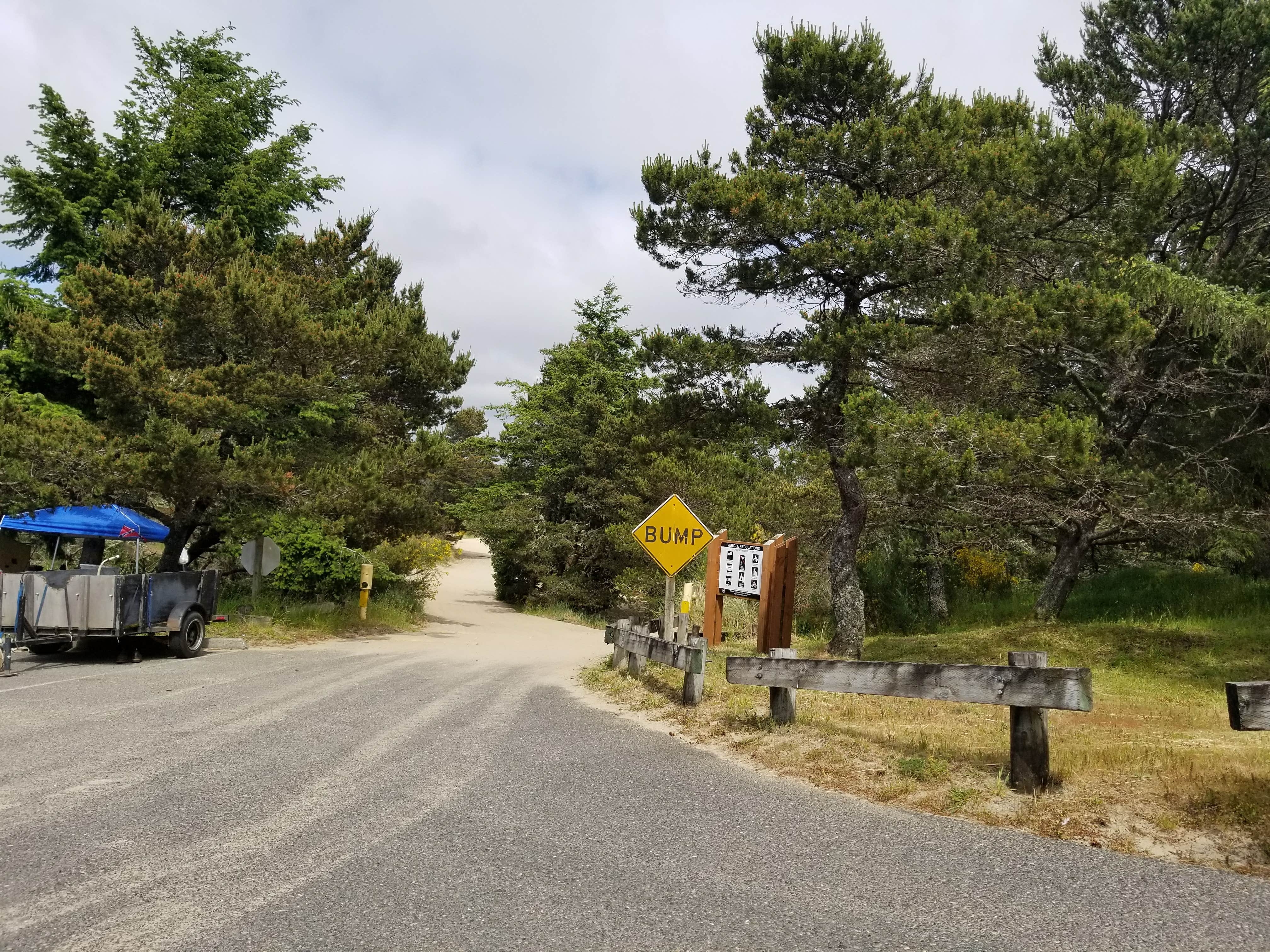 Horsfall Campground | North Bend, OR