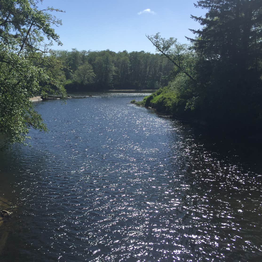 Mora Campground Camping | The Dyrt