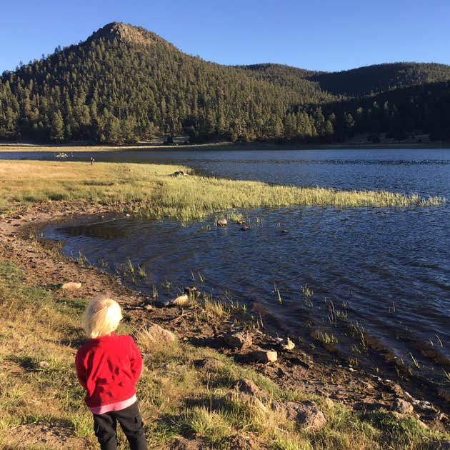 Cove - Quemado Lake Camping | Quemado, New Mexico