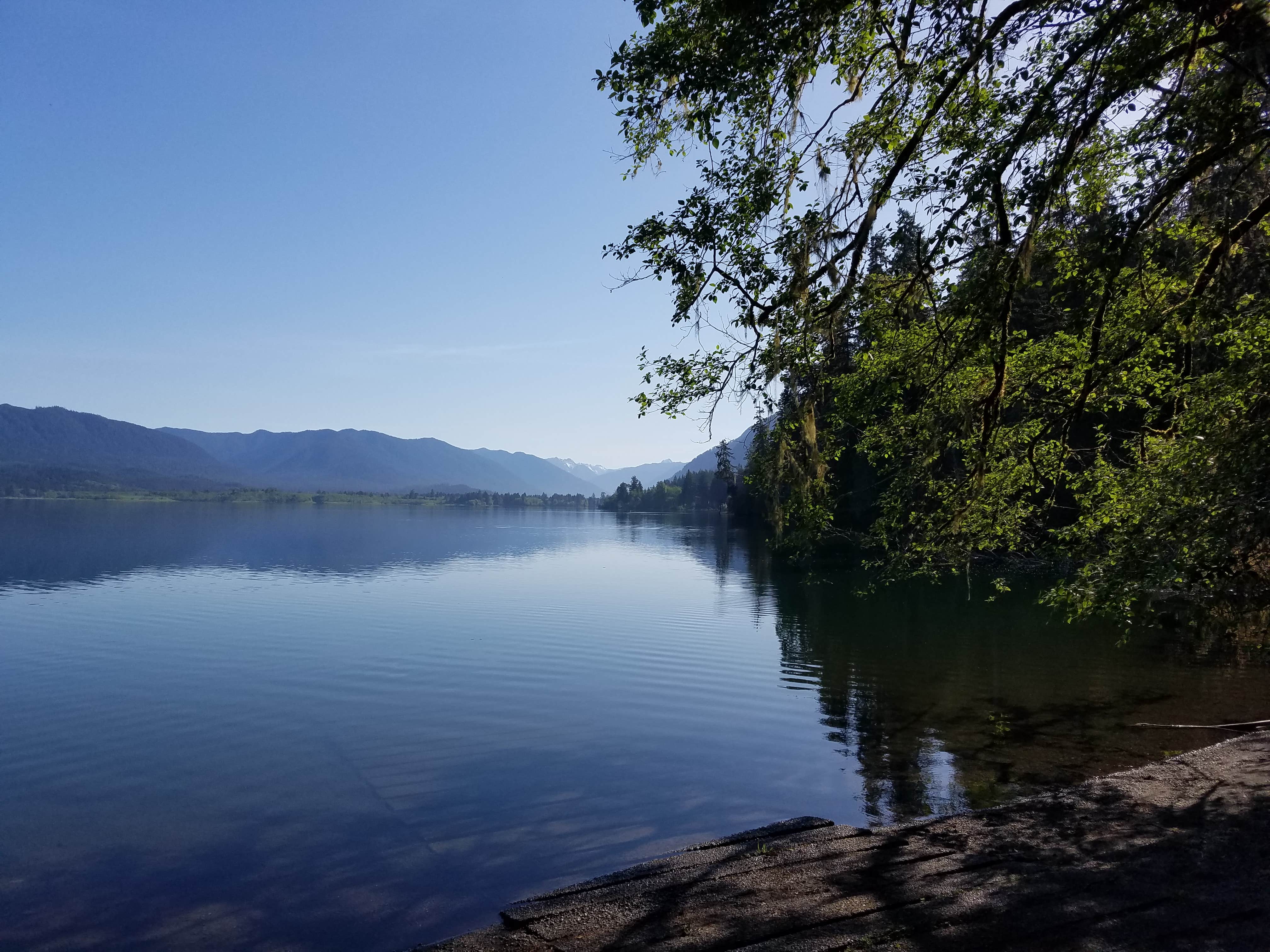 Willaby Campground | Quinault, WA