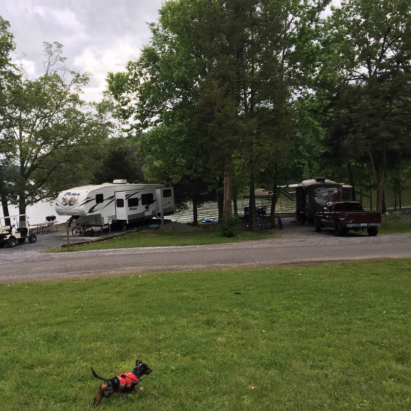 Hillman Ferry Campground Camping | The Dyrt