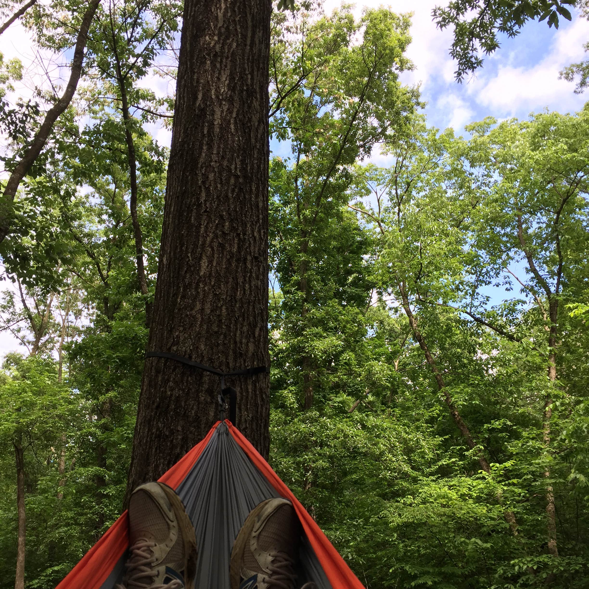 Watkins Mill State Park Camping | The Dyrt