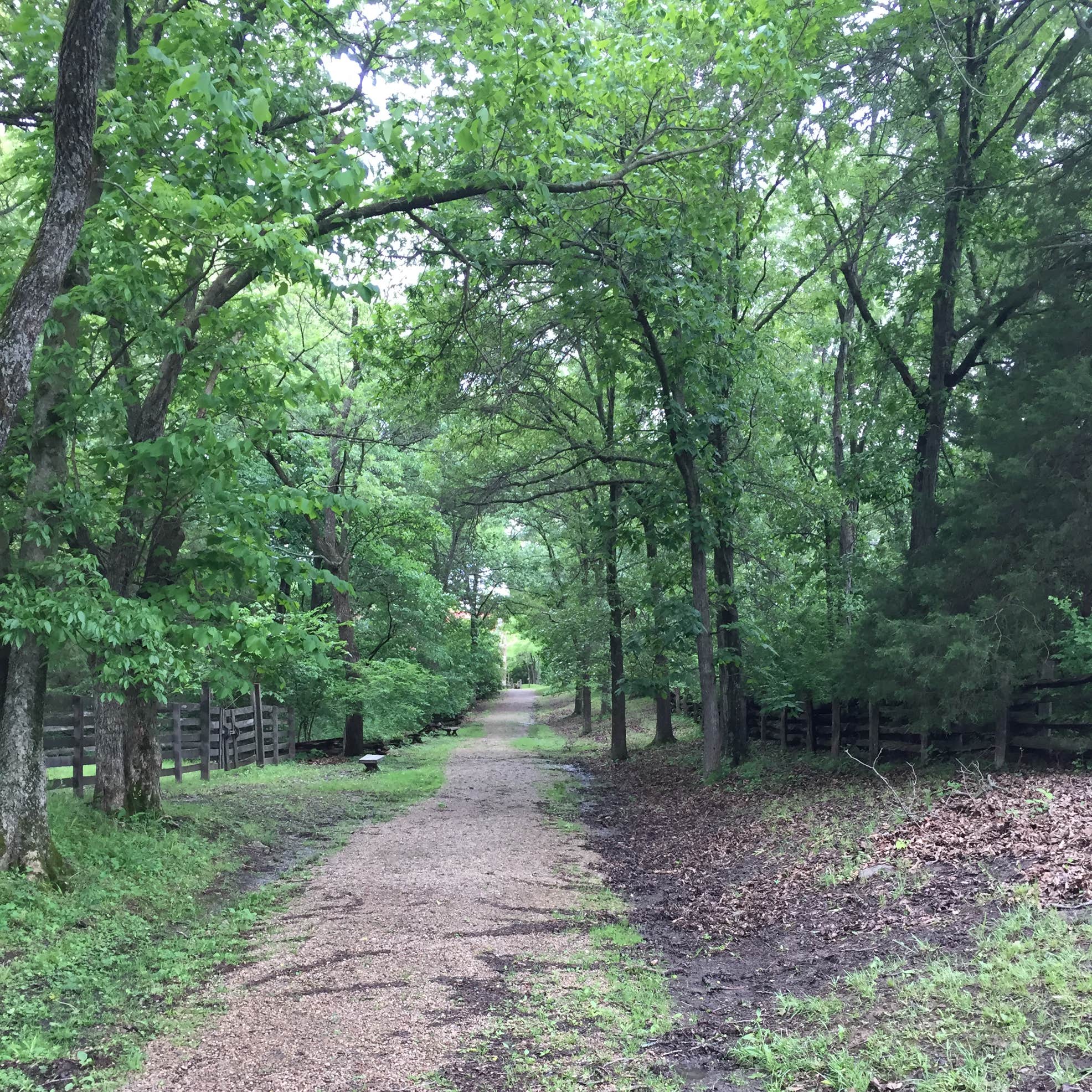 Watkins Mill State Park Camping | The Dyrt