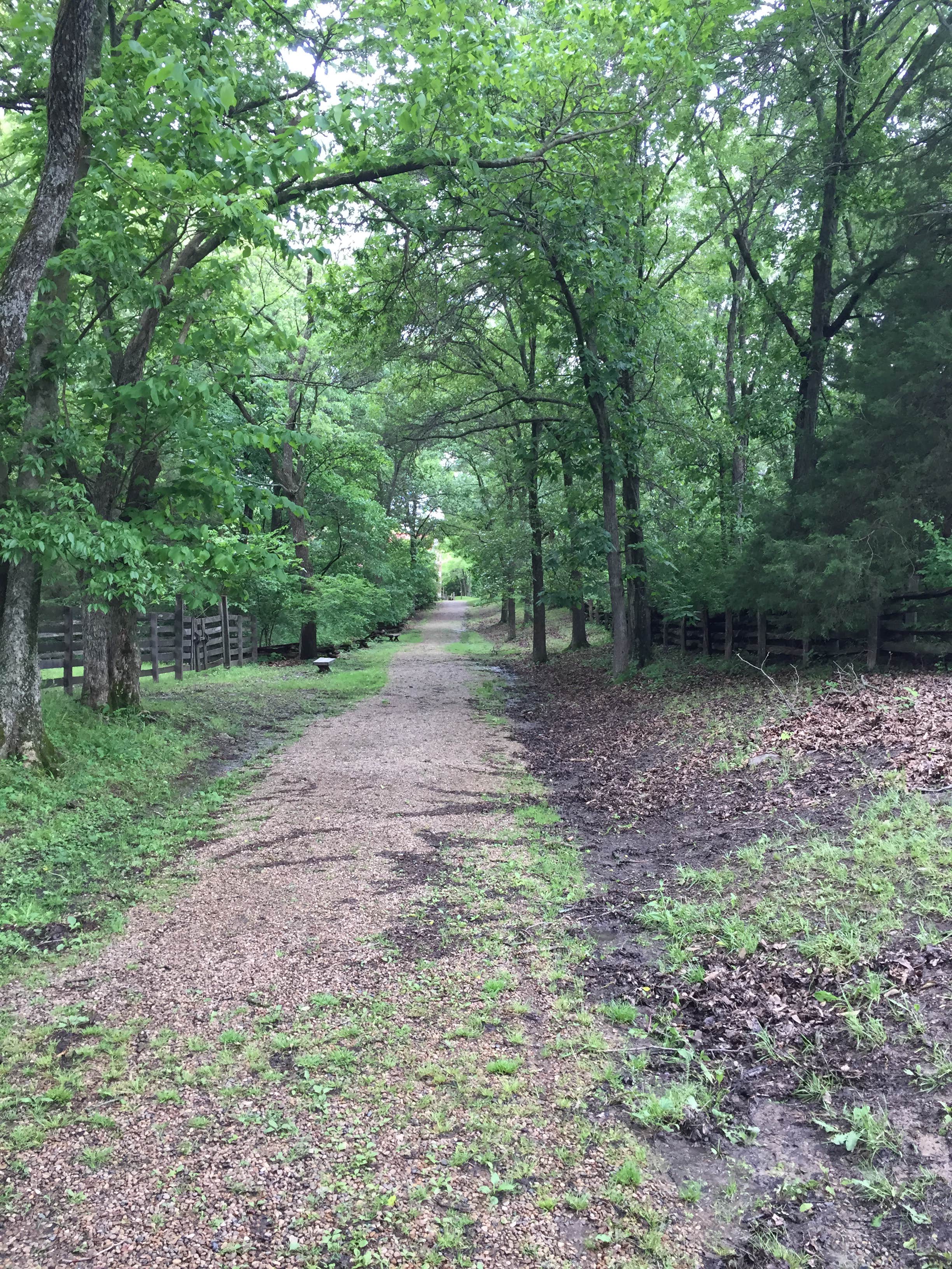 Watkins Mill State Park Campground | Excelsior Springs, Missouri