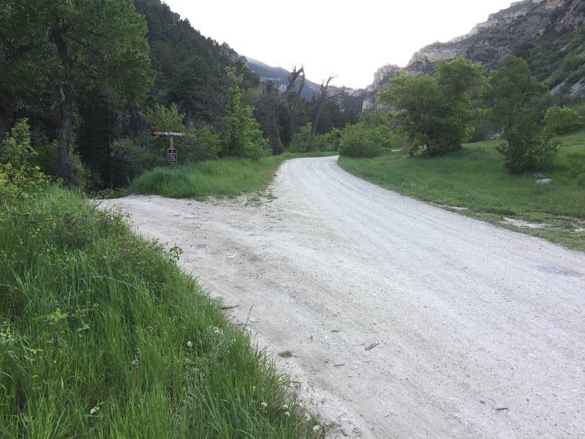 Tongue River Campground Camping | The Dyrt