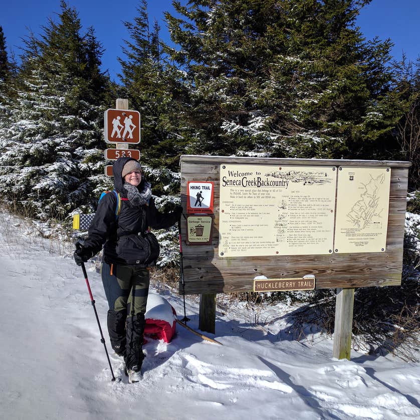 Spruce Knob Lake Campground Camping | The Dyrt