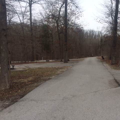 Withrow Springs State Park Camping | The Dyrt