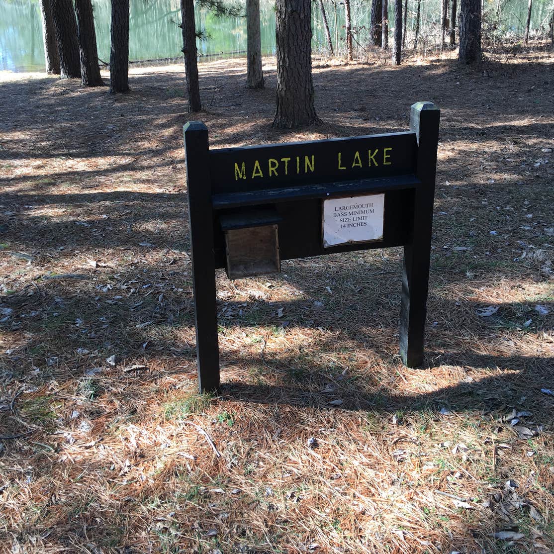 Martin State Forest Camping | The Dyrt