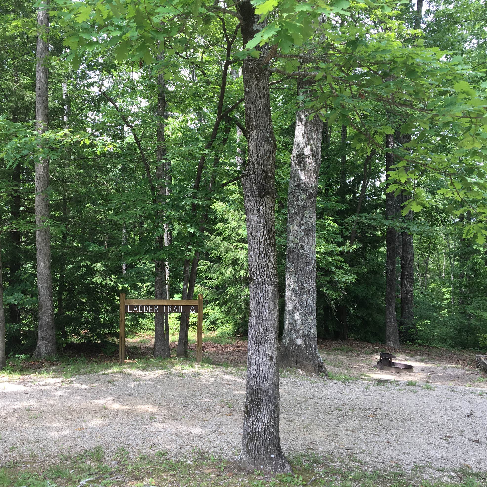 Pickett CCC Memorial State Park Camping | The Dyrt