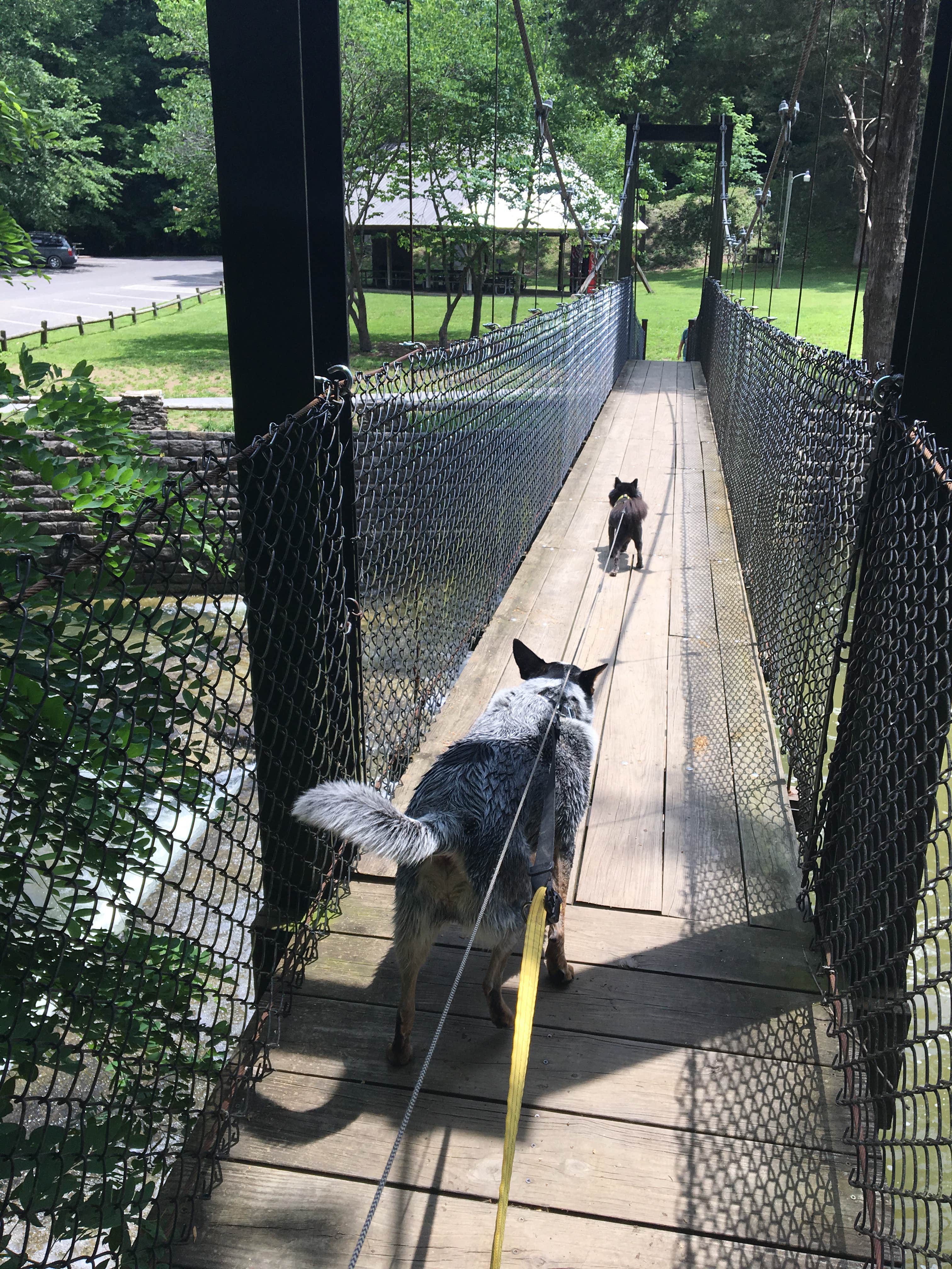 Standing Stone State Park Campground | Allons, TN