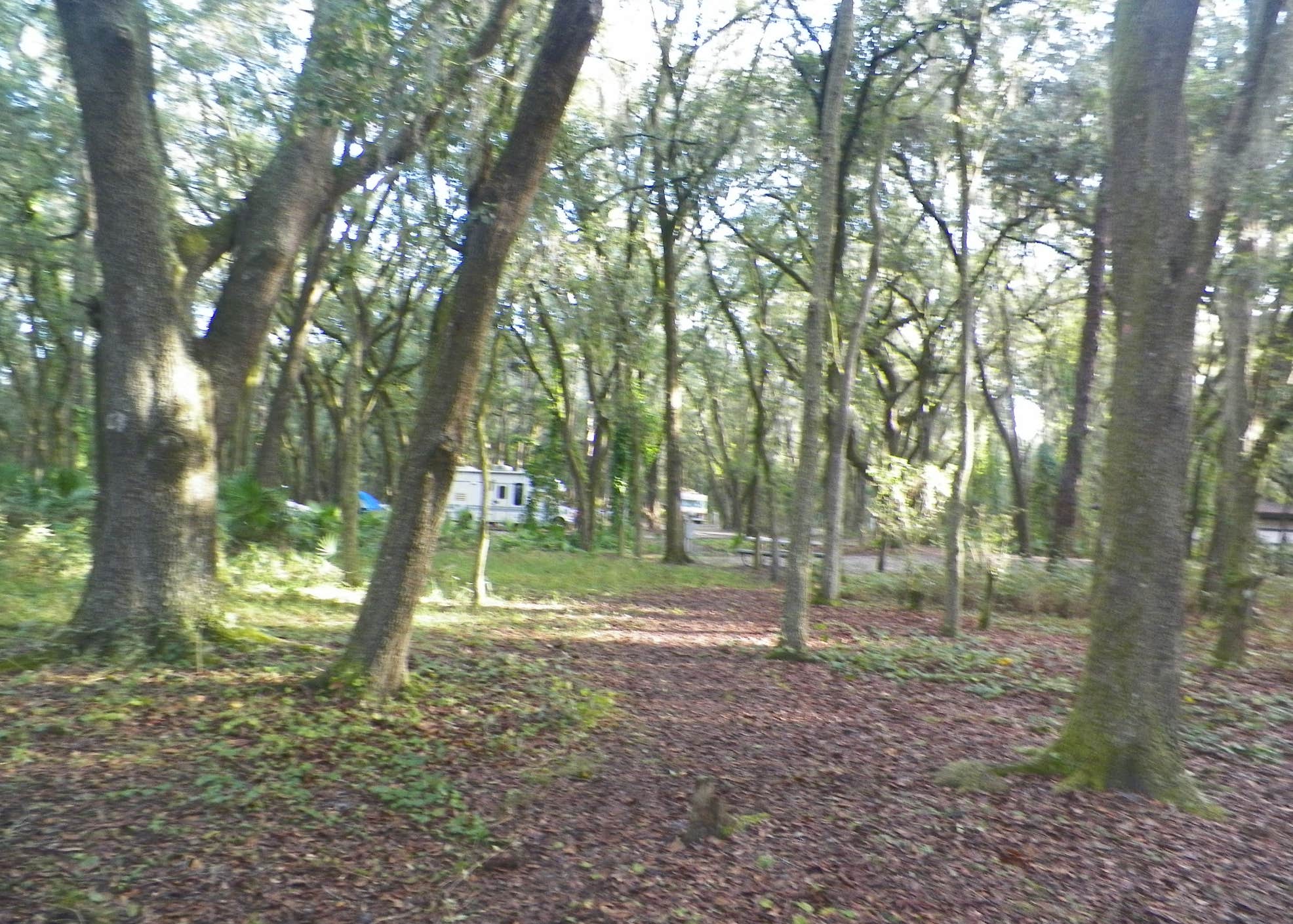 Edward Medard Park Camping | The Dyrt