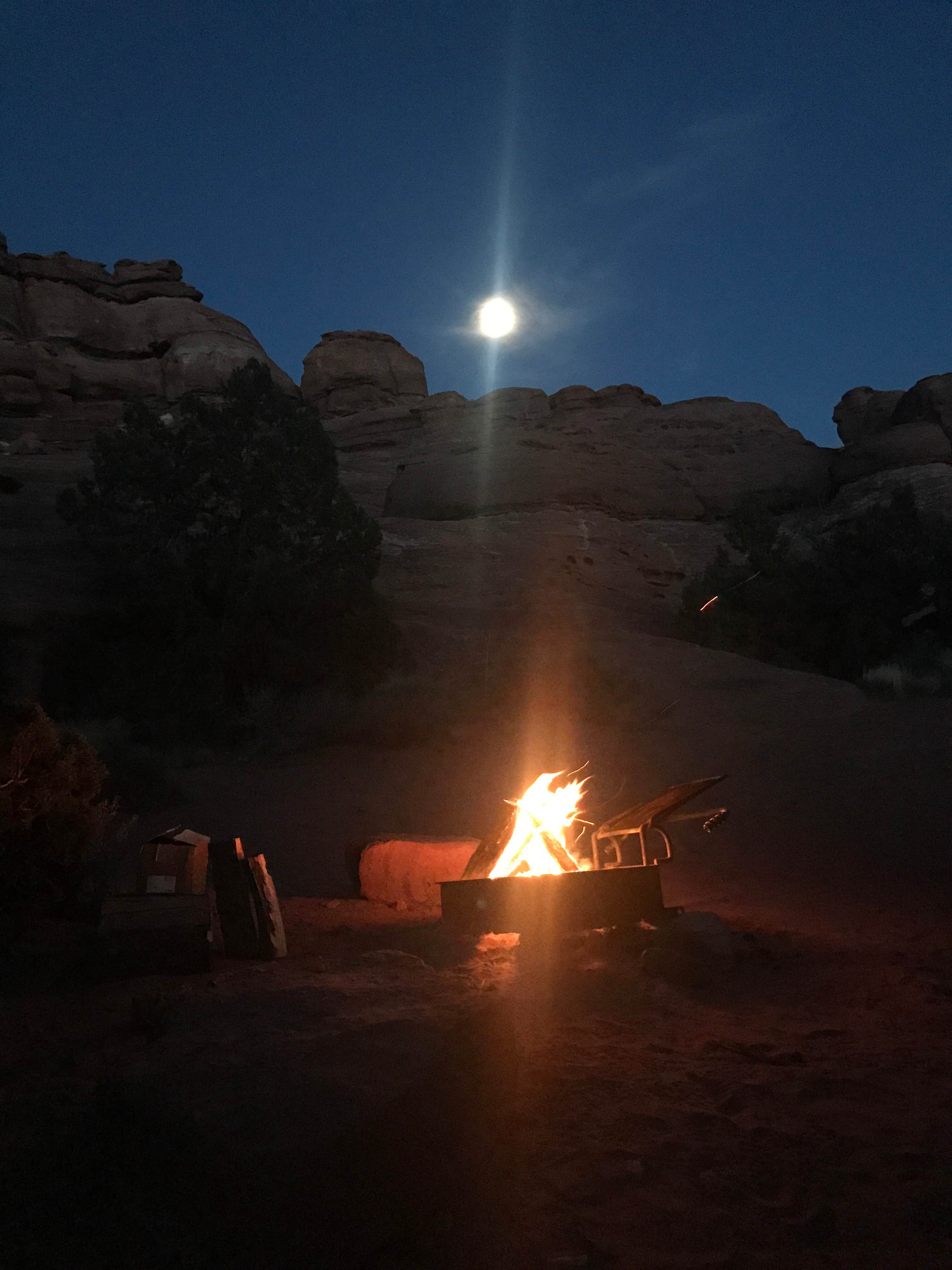Needles Outpost Campground | Canyonlands National Park, UT