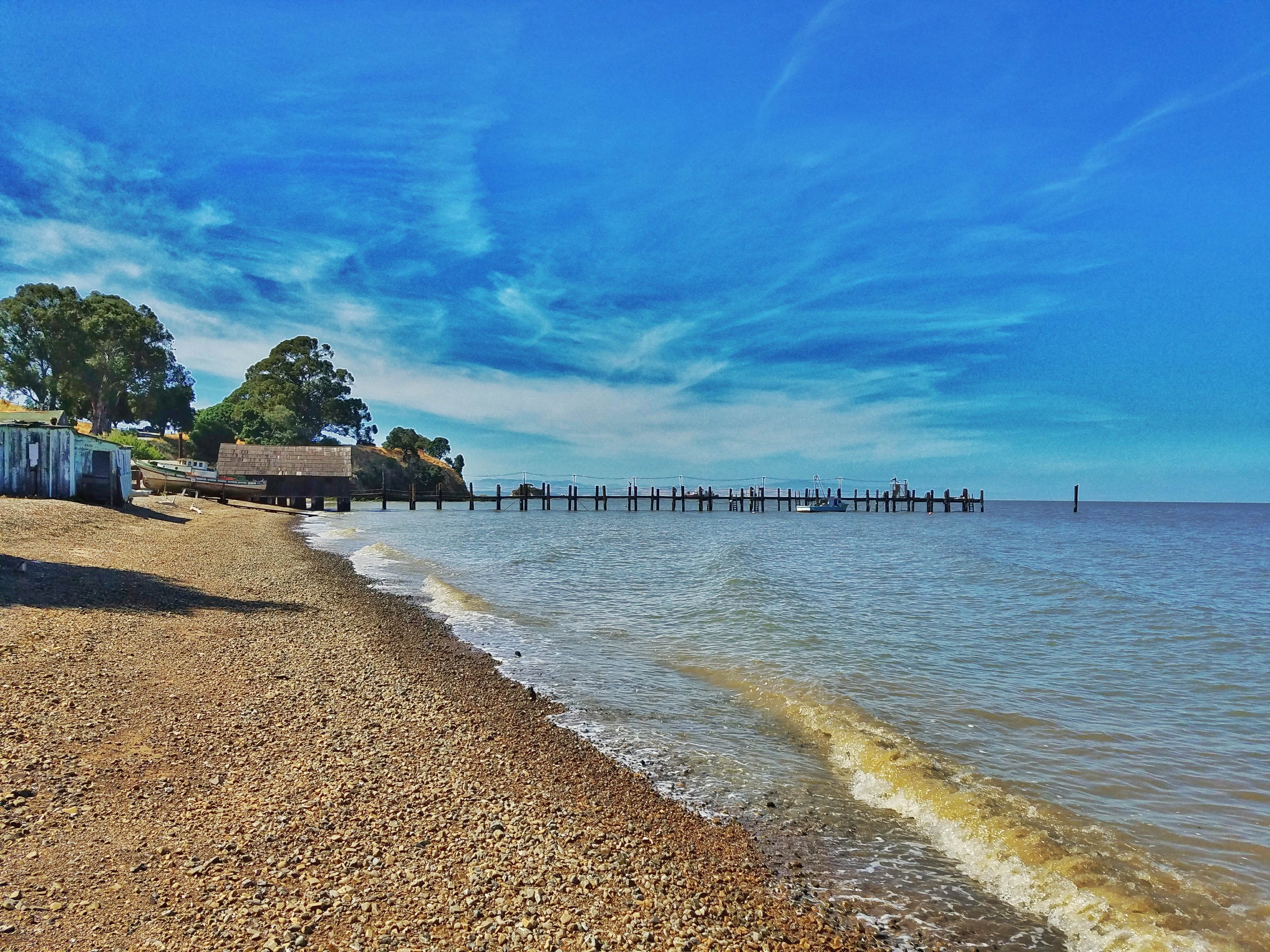 China Camp State Park Campground | Chino Hills, California