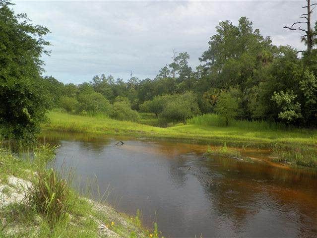 Little Big Econ State Forest Primitive Camping - East Camp Zone ...