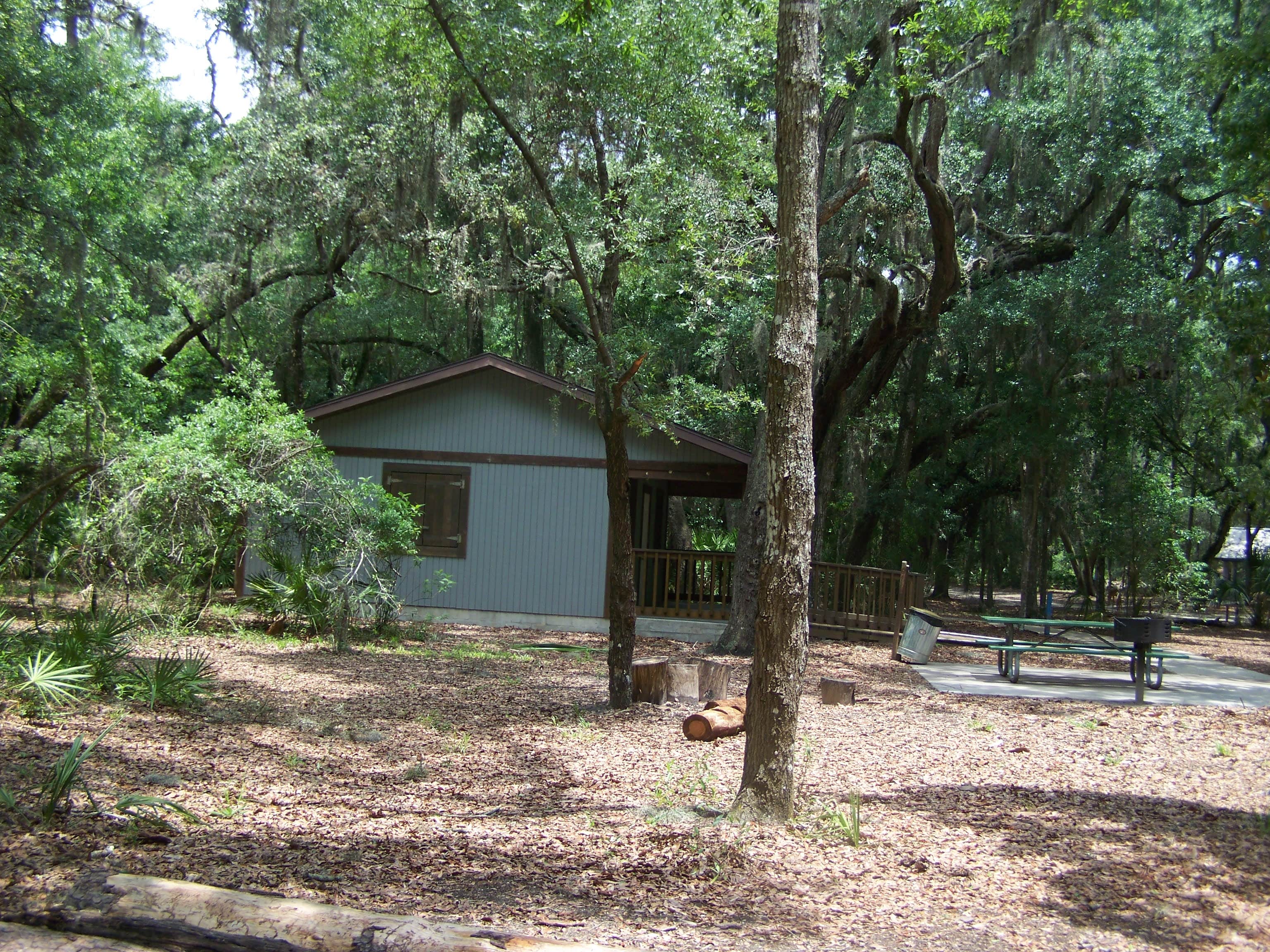 Jay B. Starkey Wilderness Park Camping | New Port Richey, Florida