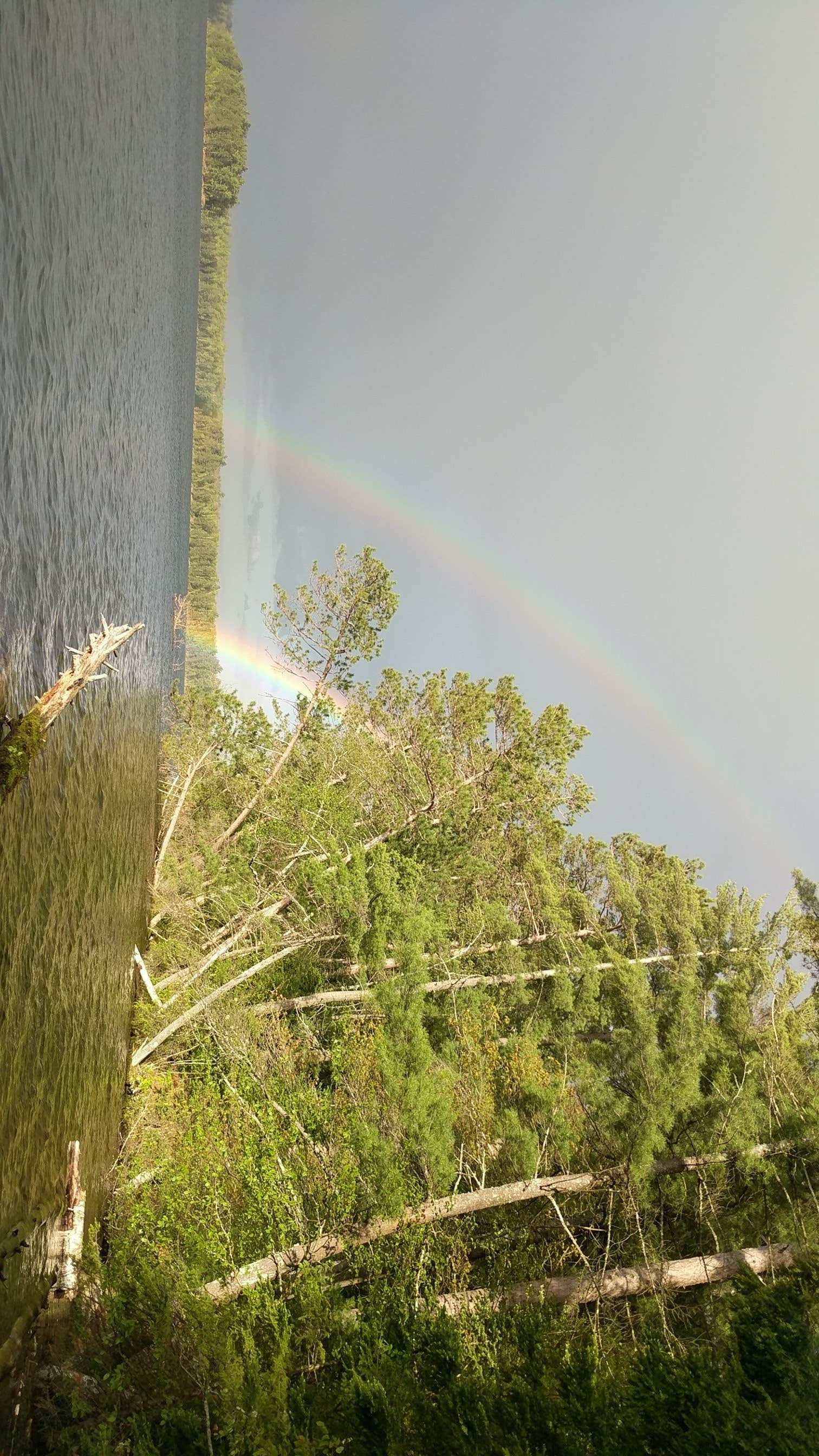 Cunnard Lake — Northern Highland State Forest Camping | Woodruff, WI