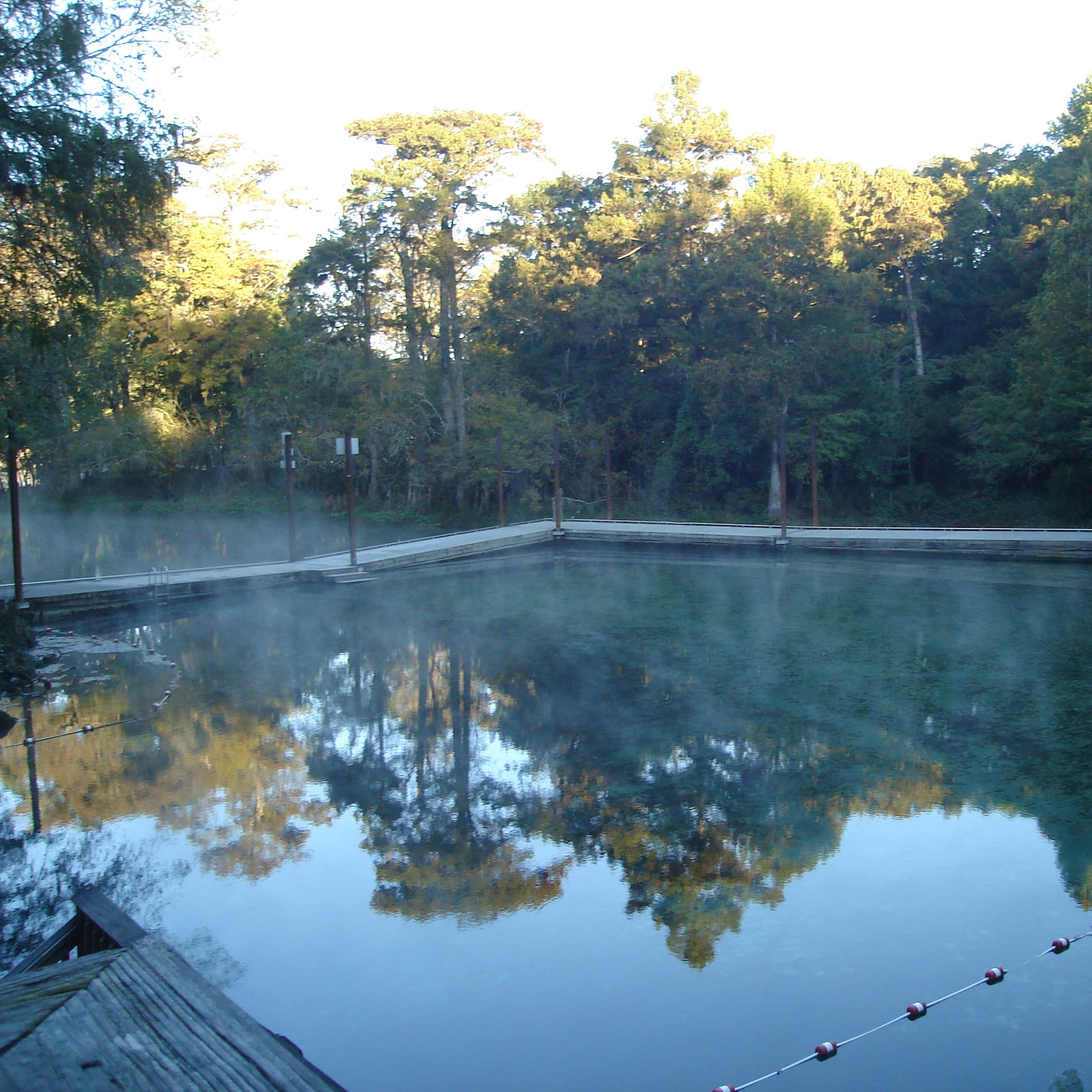 Fanning Springs State Park Camping | The Dyrt