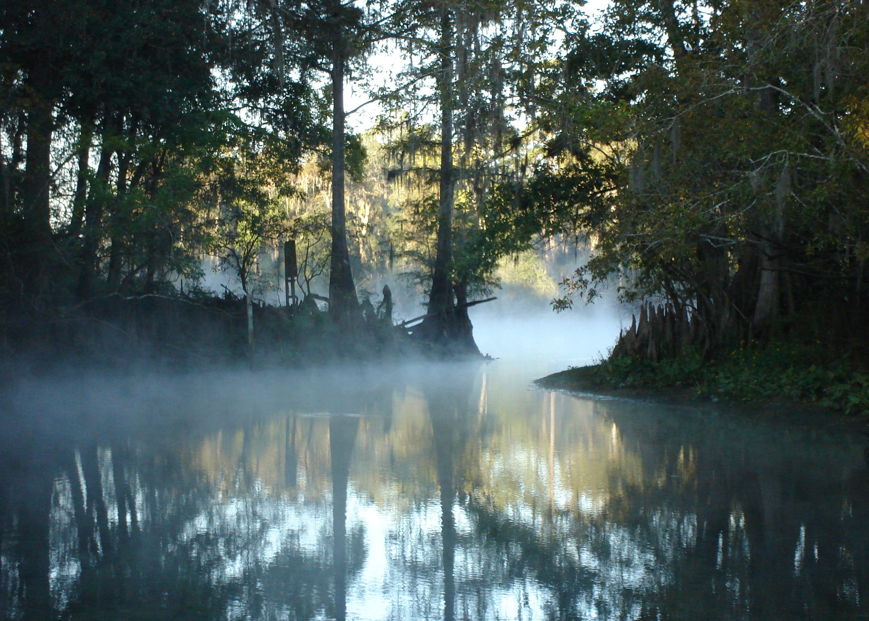 Fanning Springs State Park Camping | The Dyrt