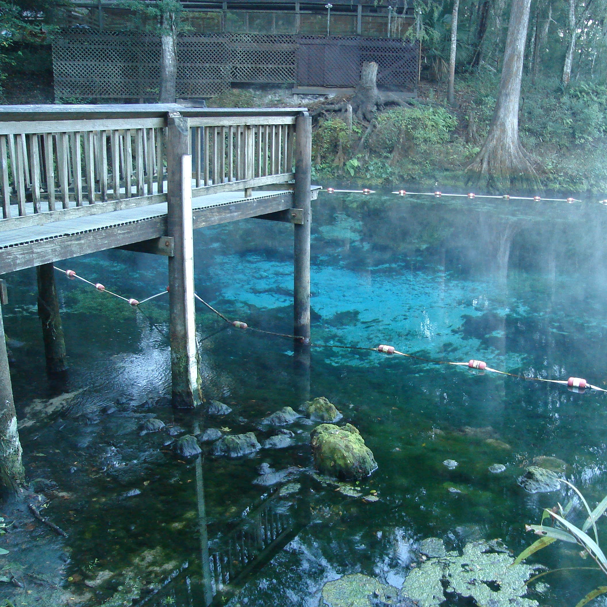 Fanning Springs State Park Camping | The Dyrt