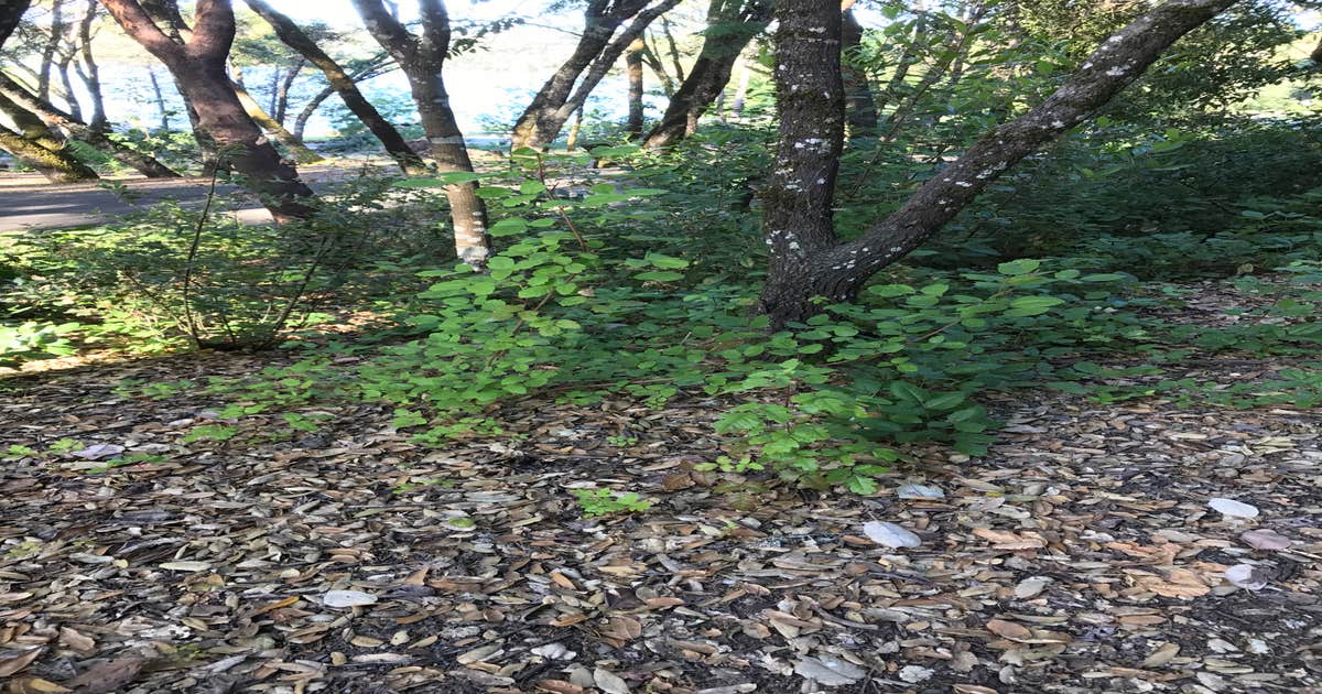 Camper-Submitted Photos of Kyen Campground And Oak Grove Day Use Area