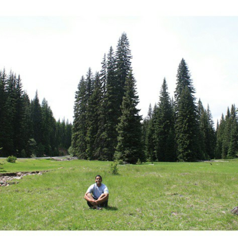 Little Naches Campground Camping | The Dyrt