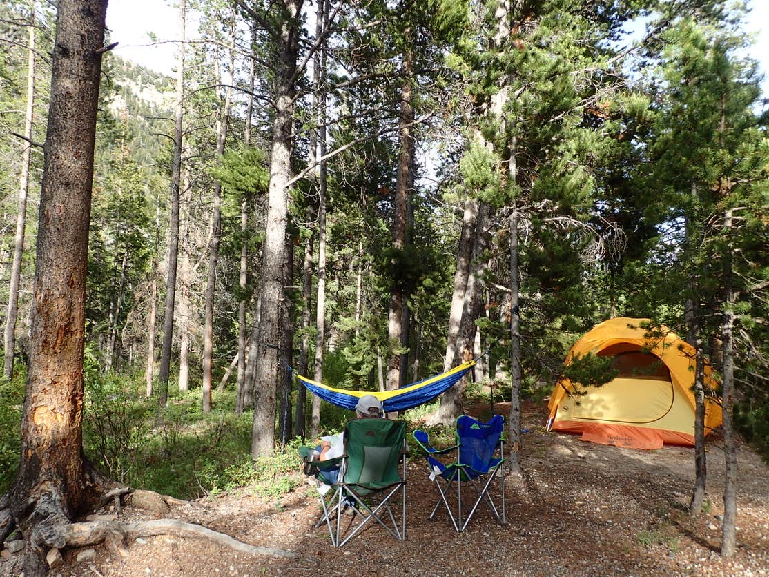 Basin Campground Camping | The Dyrt