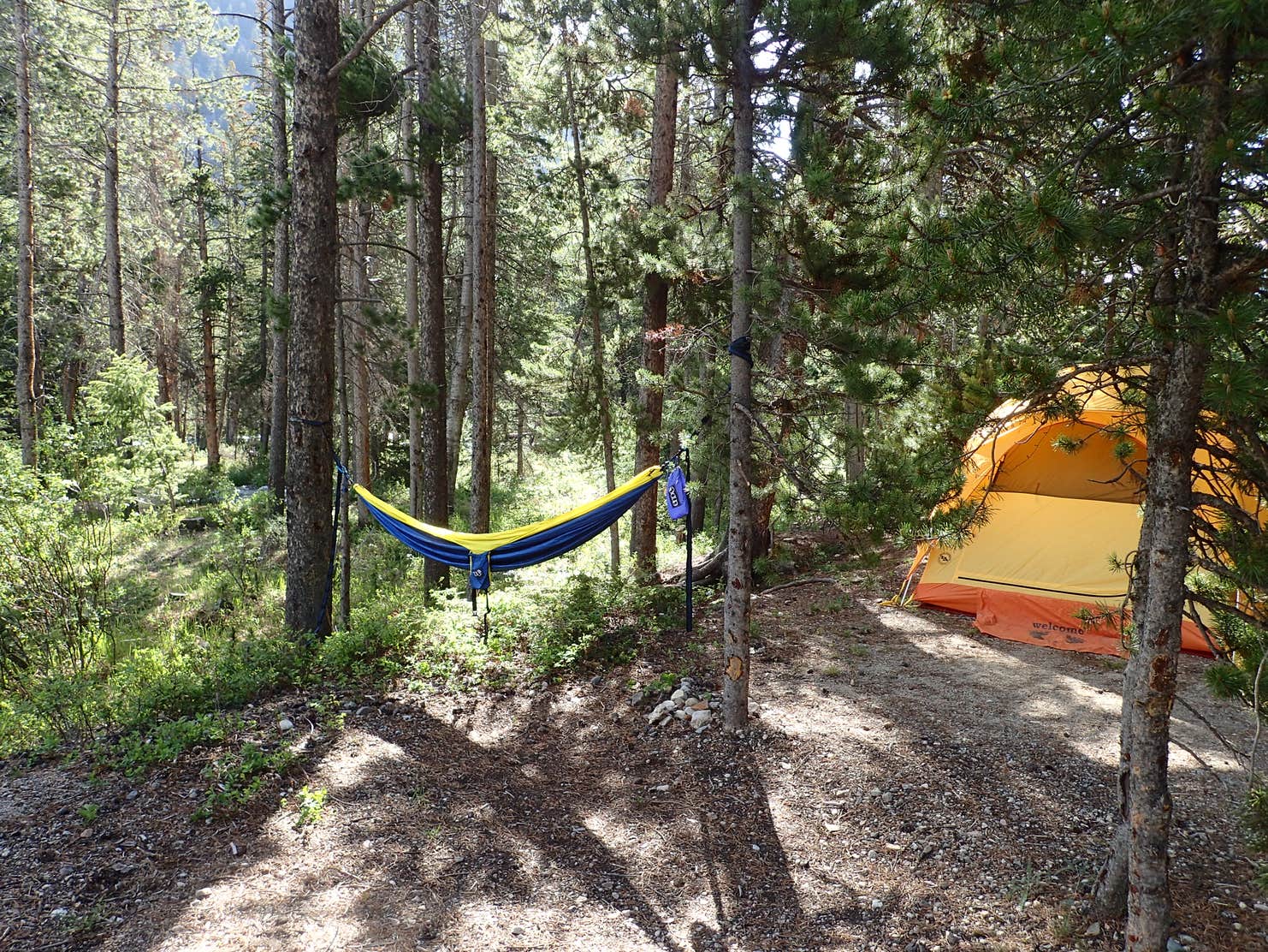Basin Campground | The Dyrt