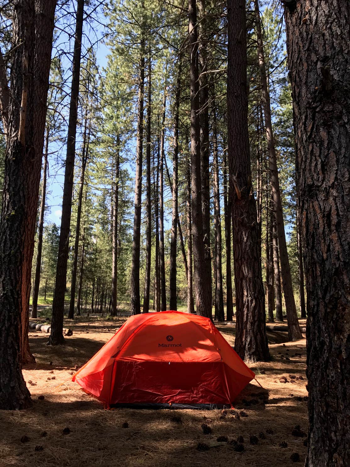 Cold Springs Campground (or) | The Dyrt