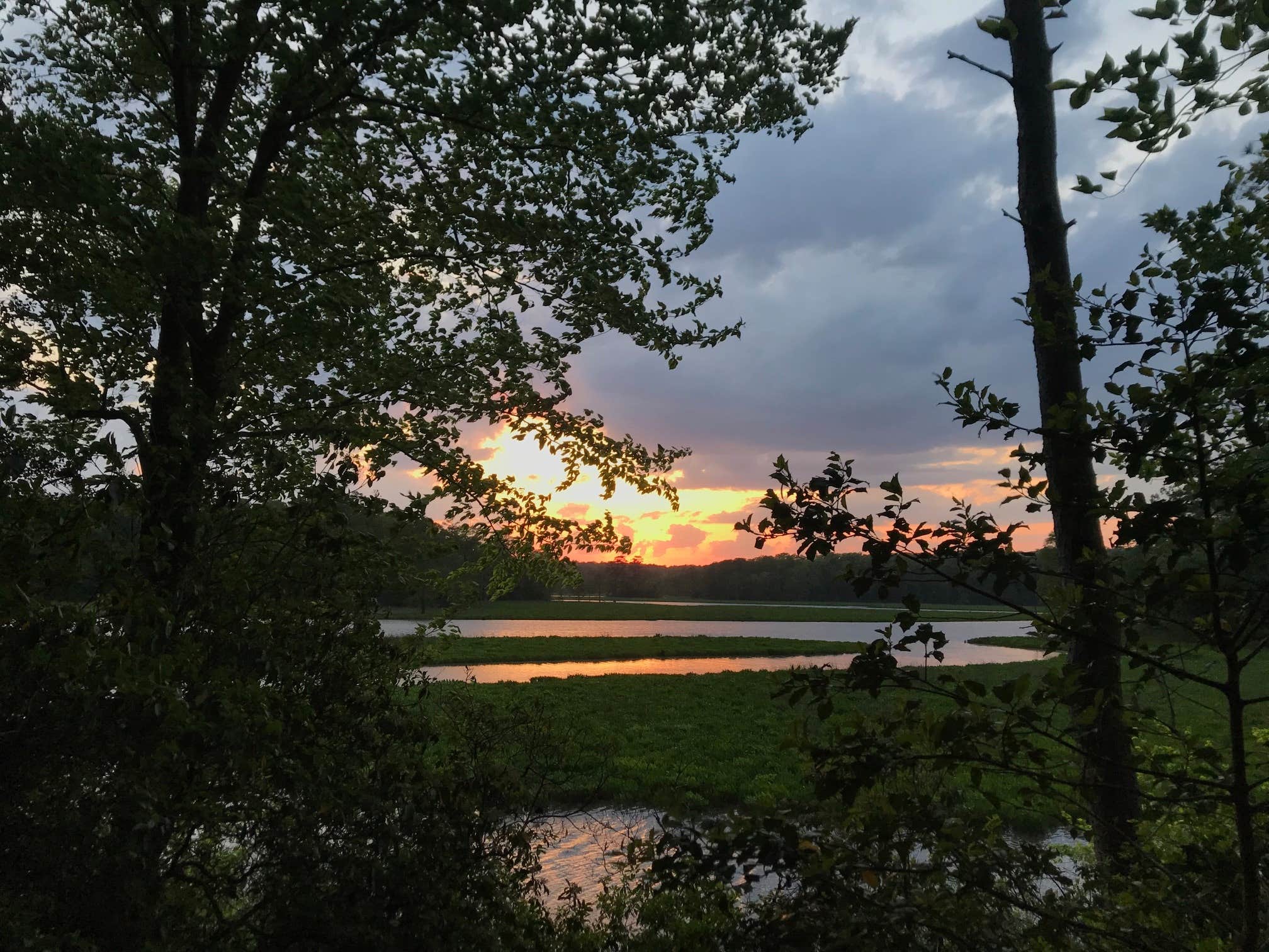 Chickahominy WMA Camping | Lightfoot, VA