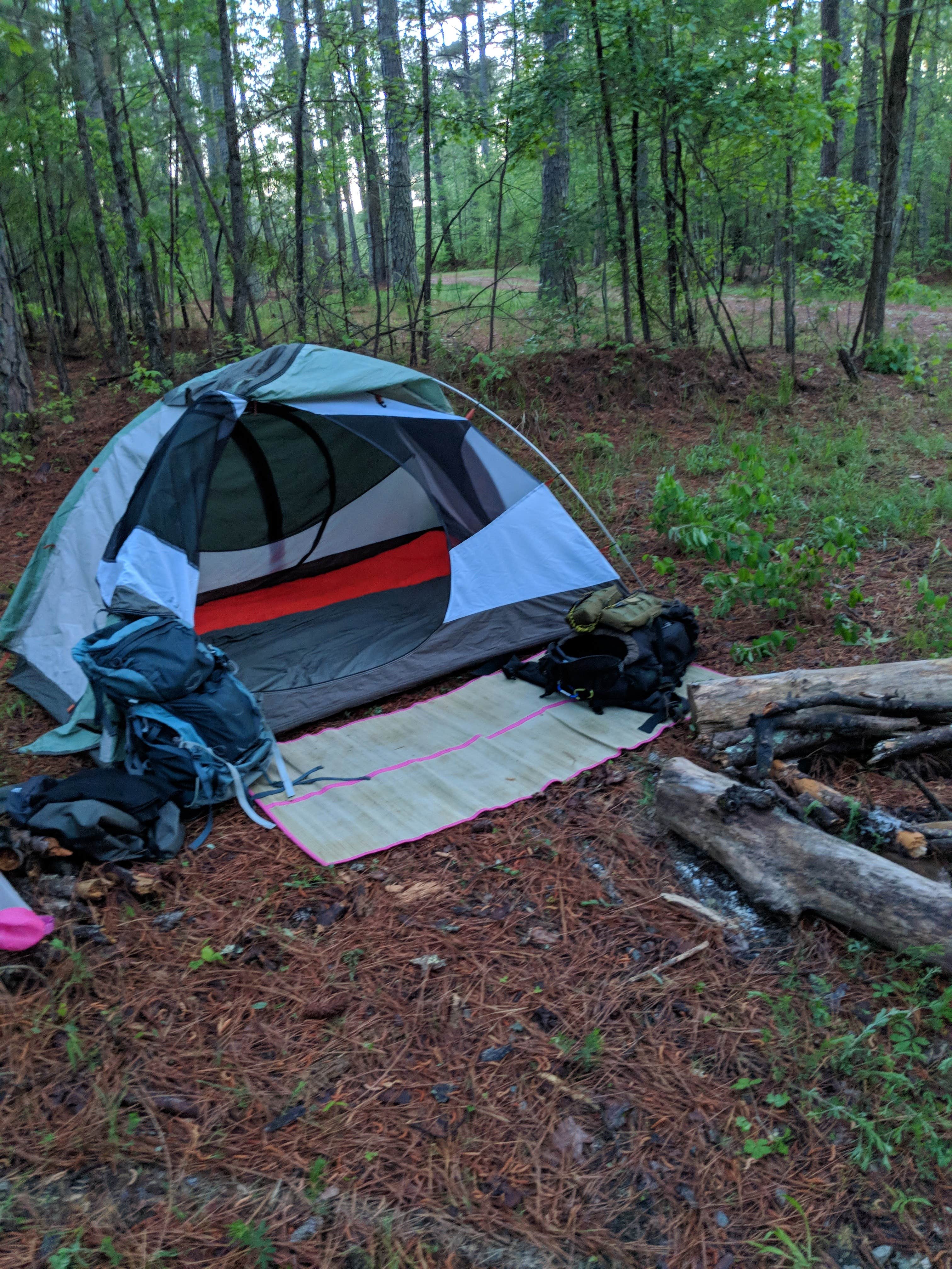 Butner lake WMA Camping | Butner, NC
