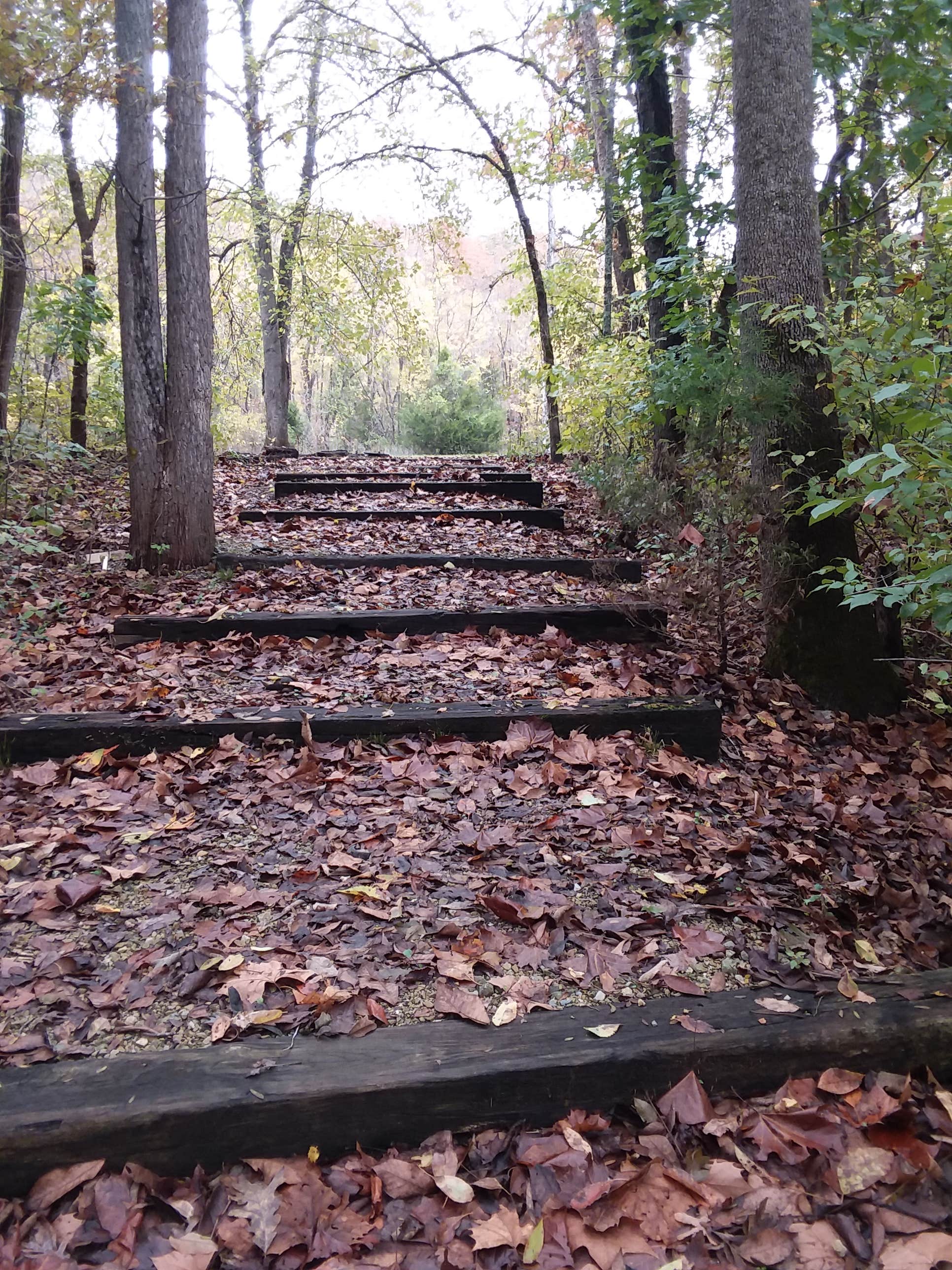 Patrick Bridge Access Camping | The Dyrt