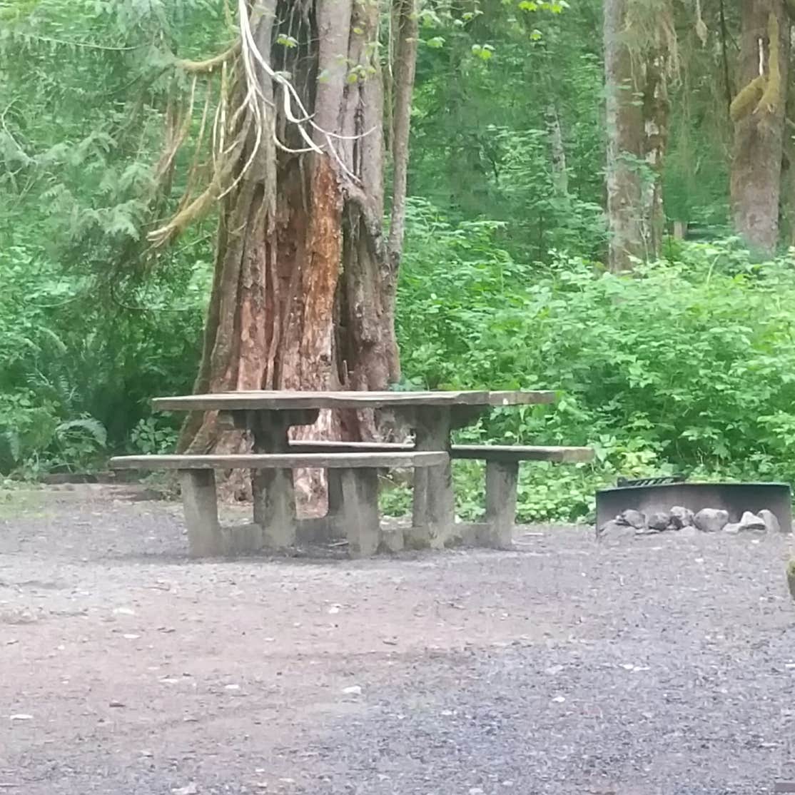Red Bridge Campground | Darrington, WA