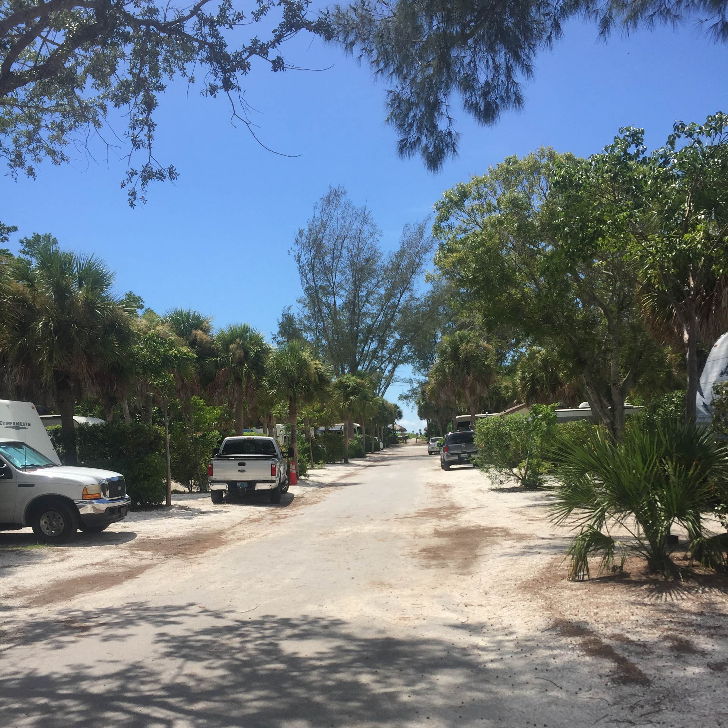 Turtle Beach Campground Camping | The Dyrt