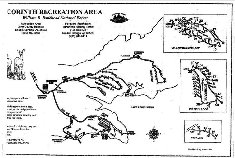 Corinth Recreation Area Camping | Houston, Alabama