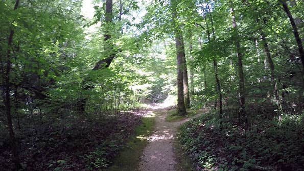 Corinth Recreation Area Camping | Double springs, AL