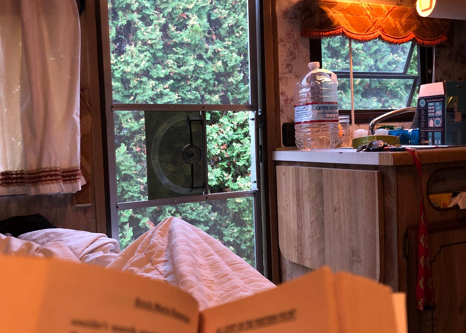 The Cedars RV Resort Camping | The Dyrt