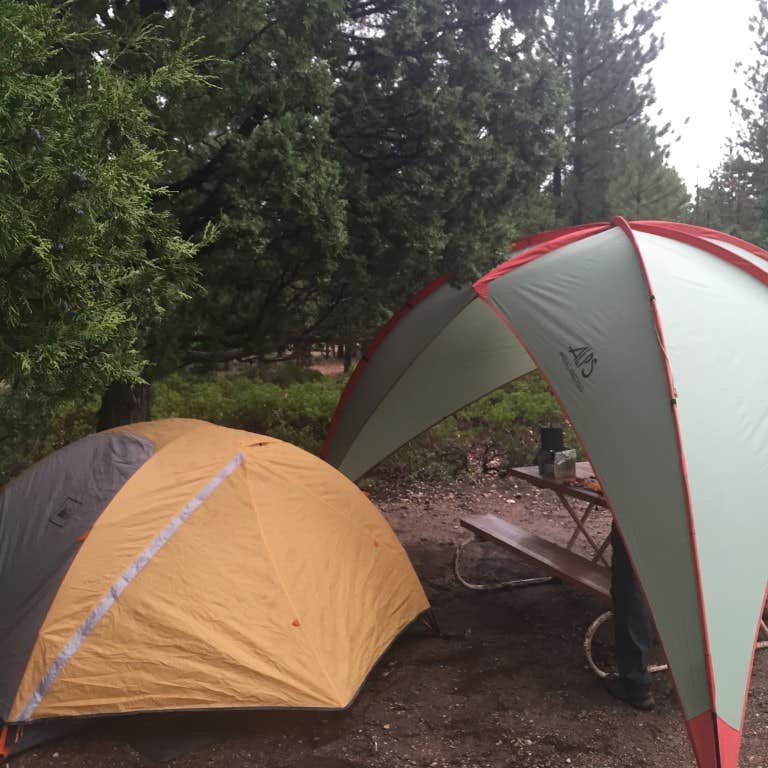 Sunset Campground Camping | The Dyrt