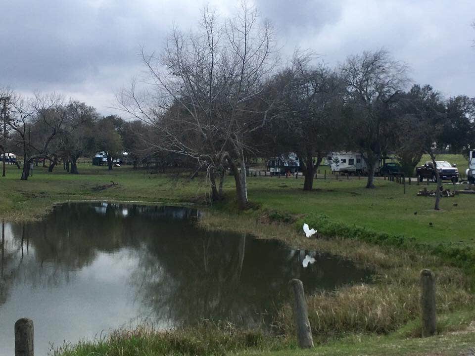 Lake Corpus Christi State Park Campground | Mathis, Texas