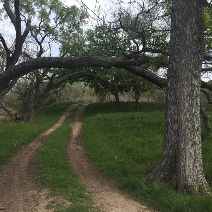 South Llano River State Park Camping | The Dyrt