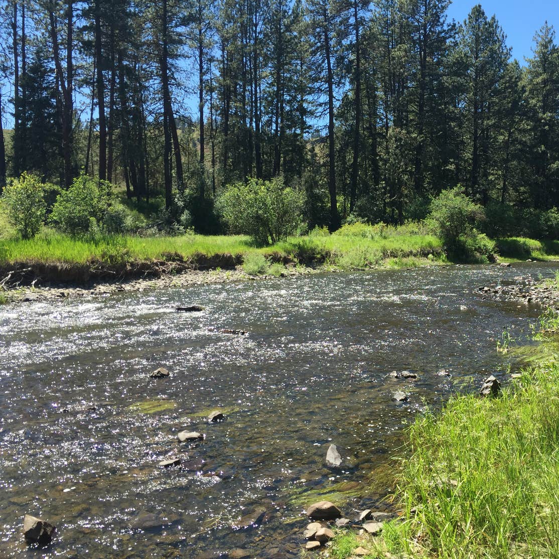 Hilgard Junction State Park Camping | The Dyrt